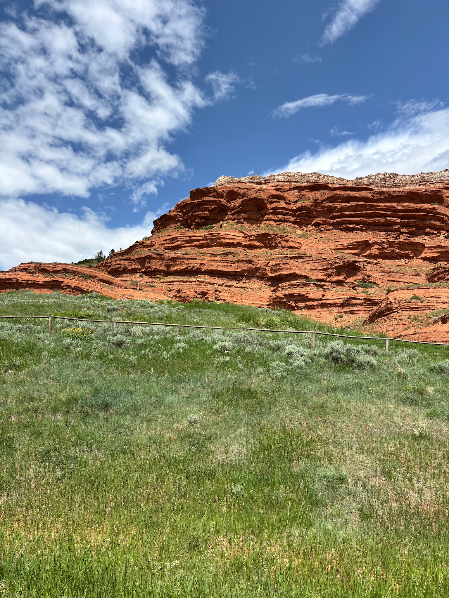 Week 1 in Yellowstone! – David C. Frederick Honors College Blog